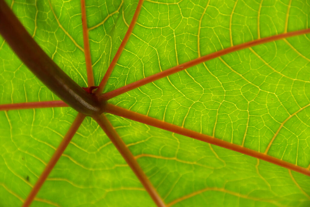 Fertigung | Stork - create unity